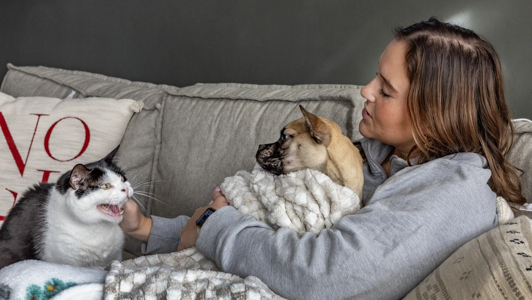 5 pets that thrive or struggle in cat homes