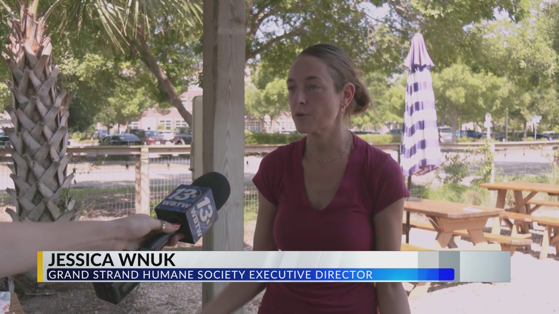 News13 hosts pet adoption event with Grand Strand Humane Society
