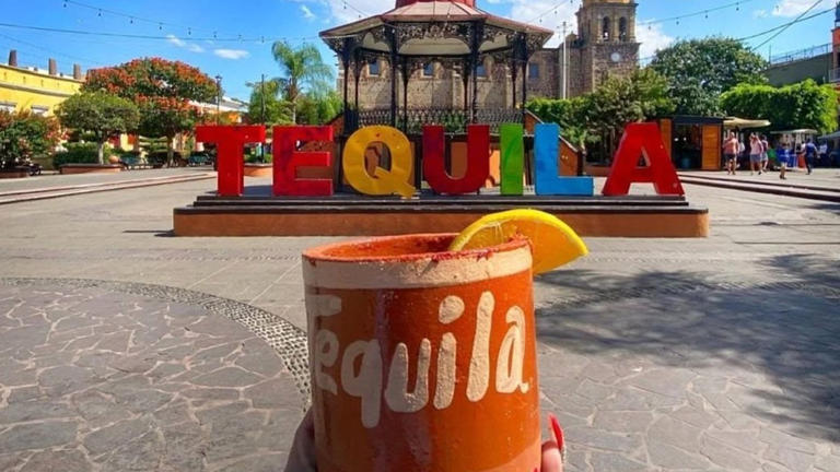 ¡Cantaritos, campos de agave y más! Conoce aquí cuánto cuesta un tour ...