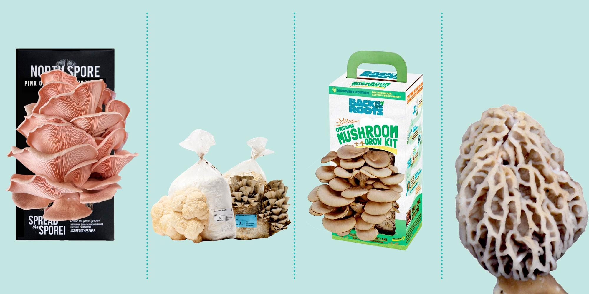 We found the best mushroom growing kits for an at-home garden