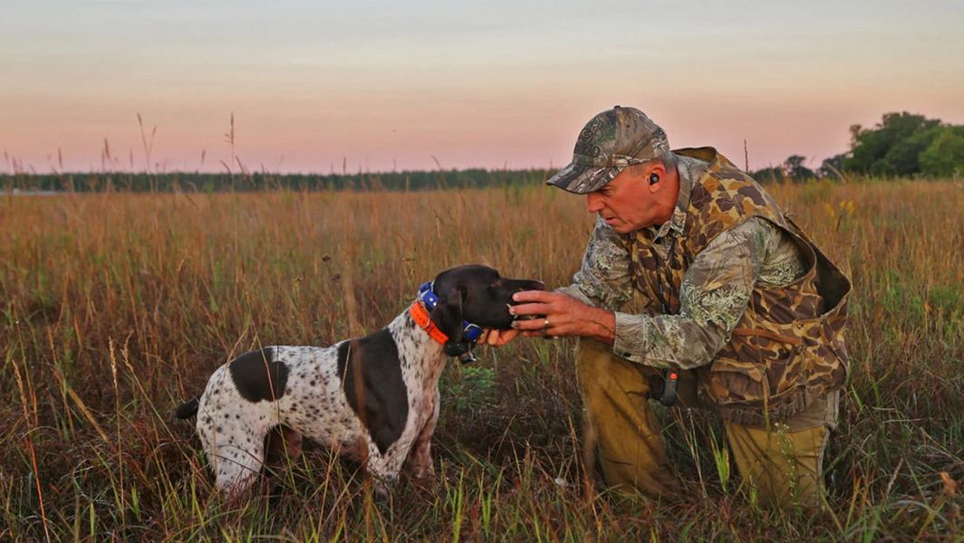 Life with a German shorthaired pointer