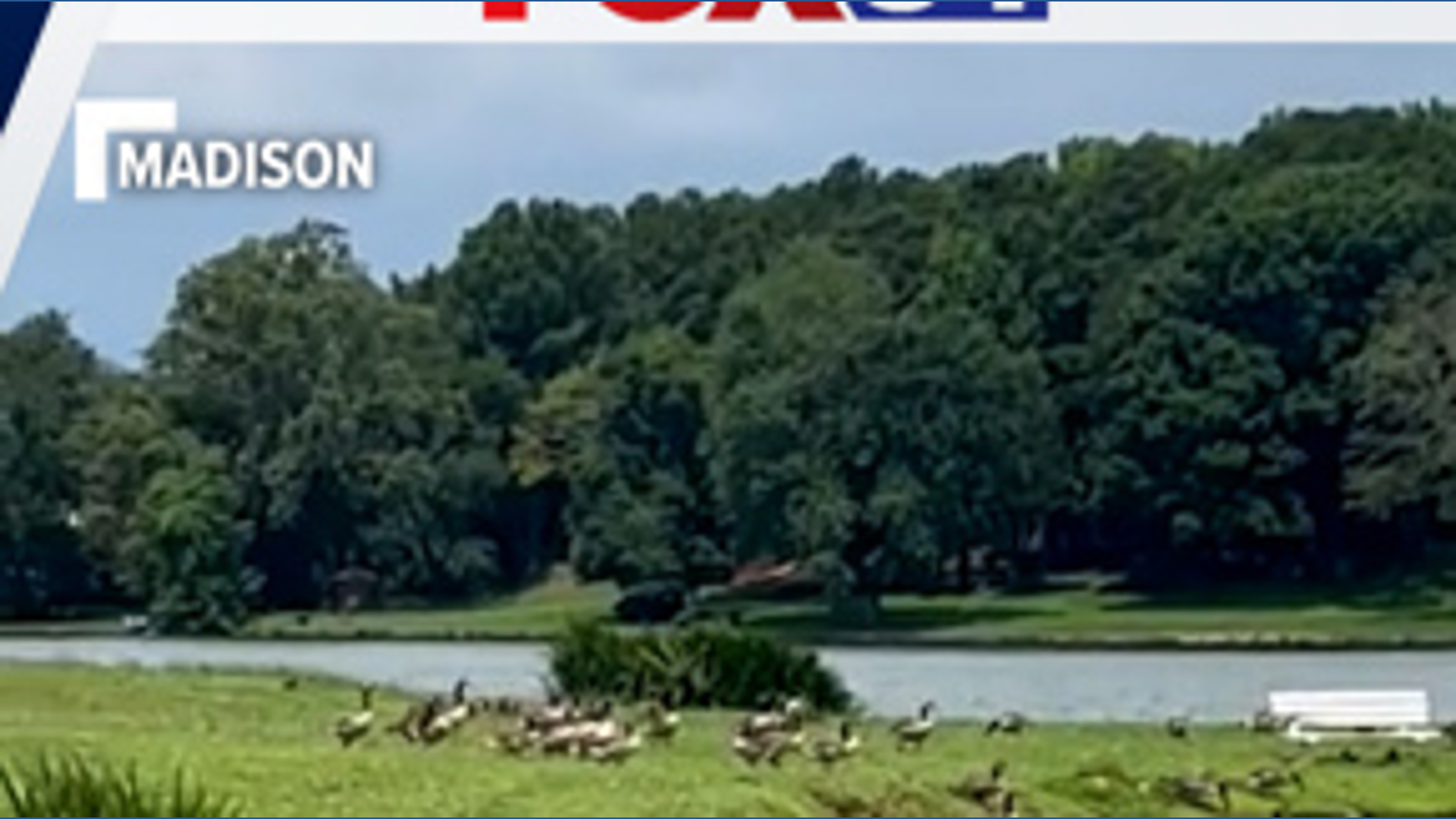 Edgewater subdivision seeks to exterminate hundreds-strong flock of ...