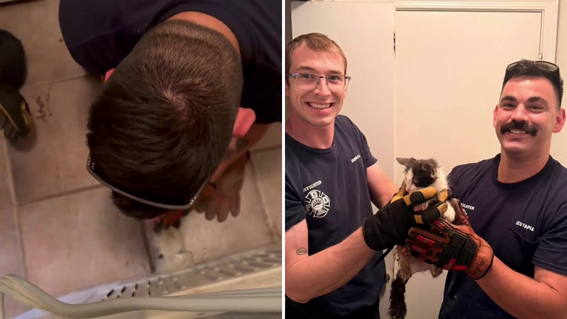 Dryer vent drama ends in purr-fect rescue for kitten in Goodyear