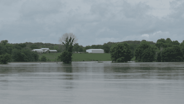Flooded fields and soaked ground leave mid-Missouri farmers facing corn ...
