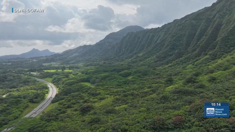 950 acres of Kaneohe Pali land now protected, state officials say