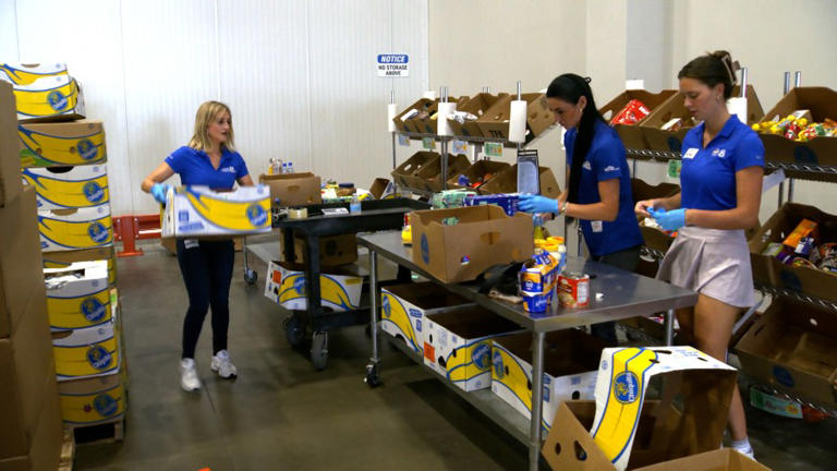 8 On Your Side team sorts, packs food at Feeding Tampa Bay for Founder ...