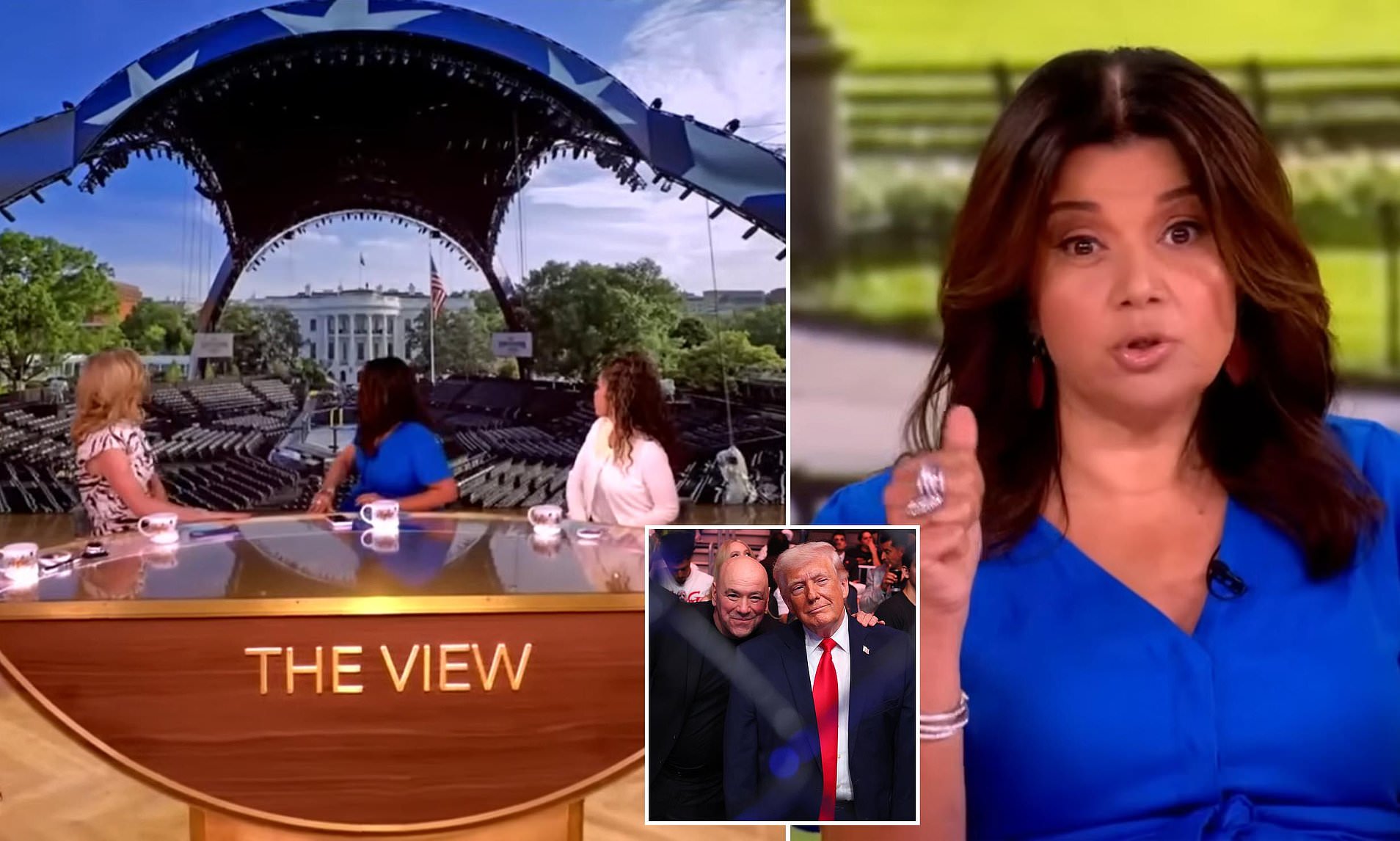 The View's Ana Navarro brands planned UFC event a 'desecration of the ...