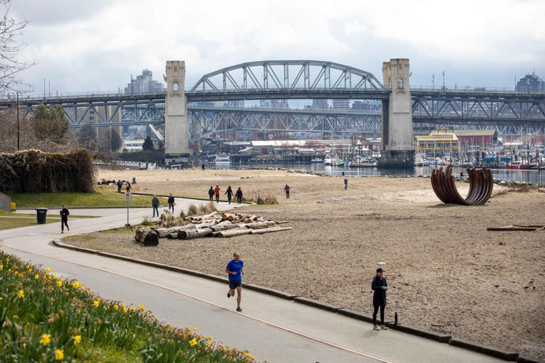 Vancouver's Sunset Beach closed to swimming due to high E coli levels