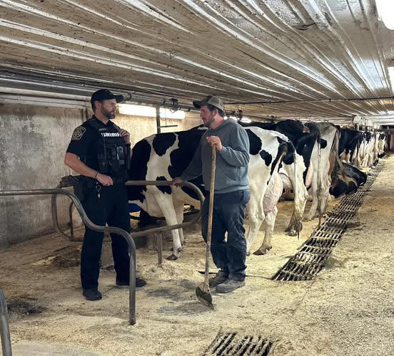 Investigating animal cruelty cases in Wisconsin: Sheriff’s office ...