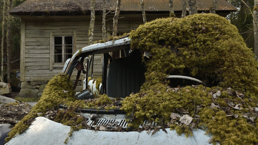 Båstnäs: Sweden’s forgotten forest of classic cars