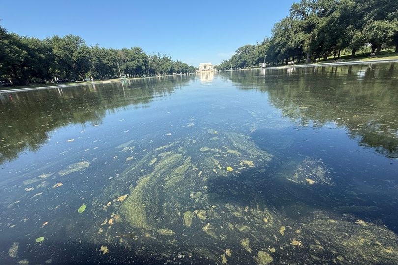 New photos show Trump's $13m reflecting pool already filthy and full of ...