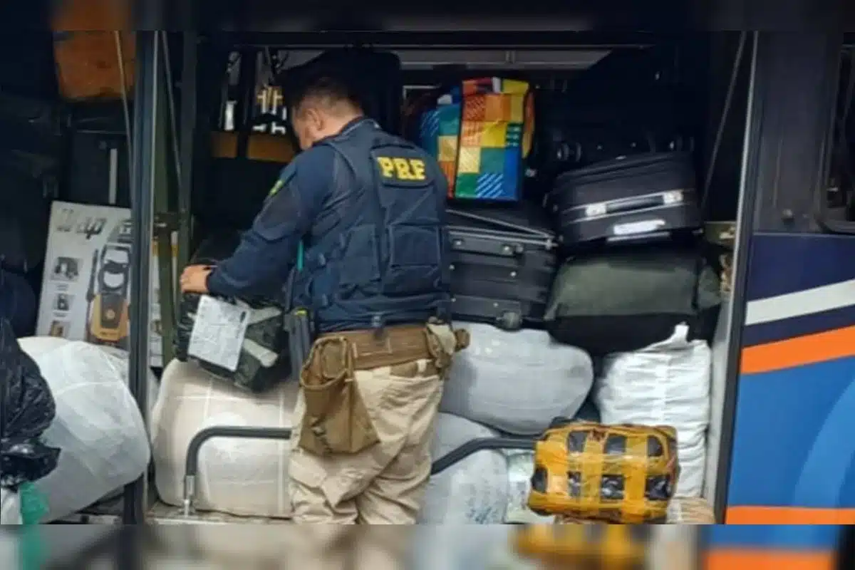 Policial suspeita de mala lacrada em ônibus e tem surpresa mórbida ao ...