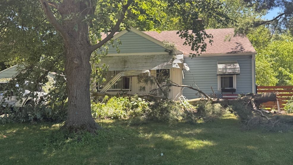 Tree crashes onto Battle Creek area home during storm, family thankful ...