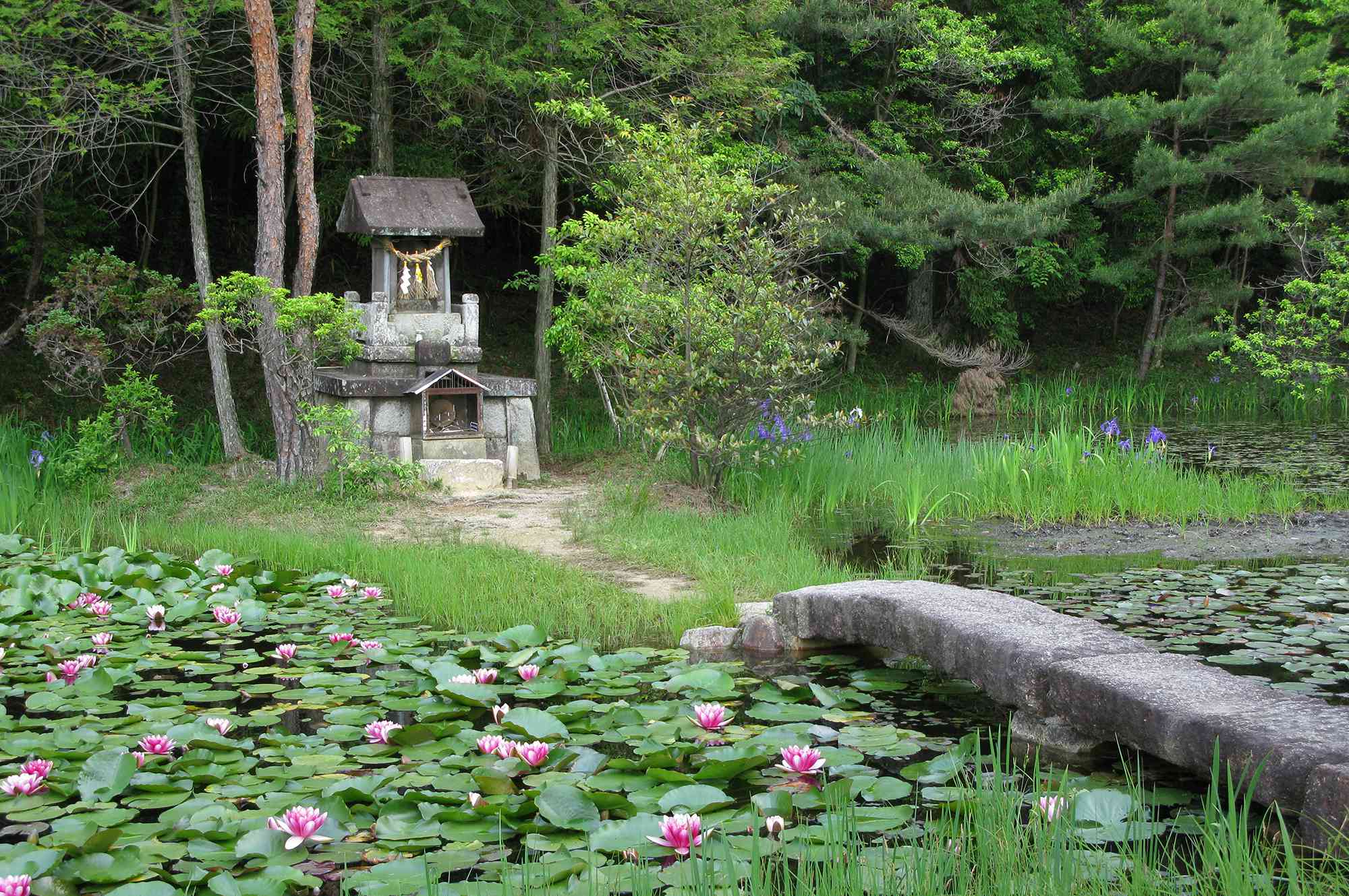 This peaceful route once walked by samurai and monks is a great way to ...