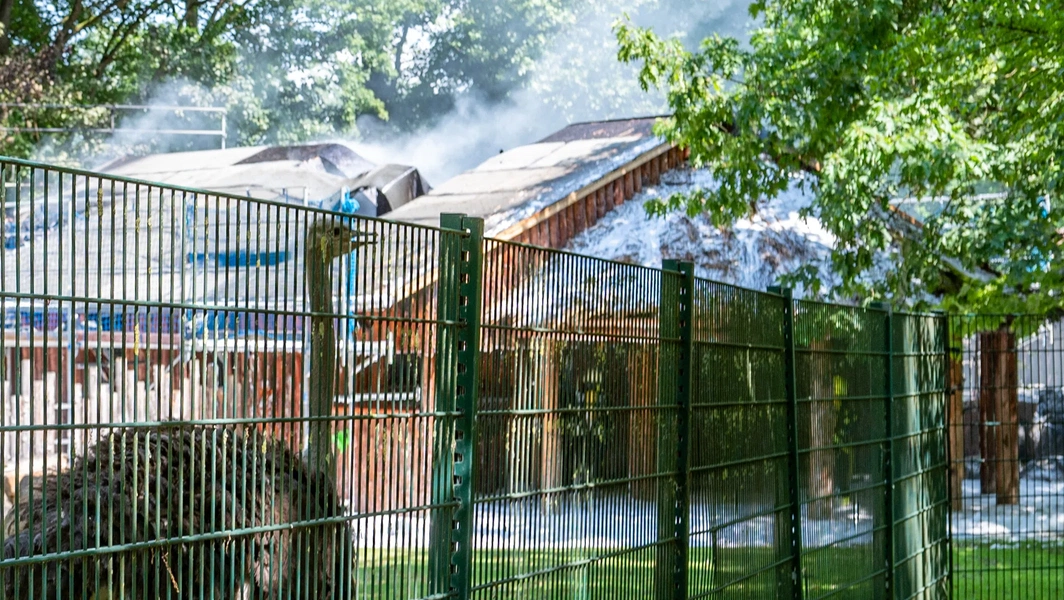 Baby tortoise survives blaze as zoo found unlicensed