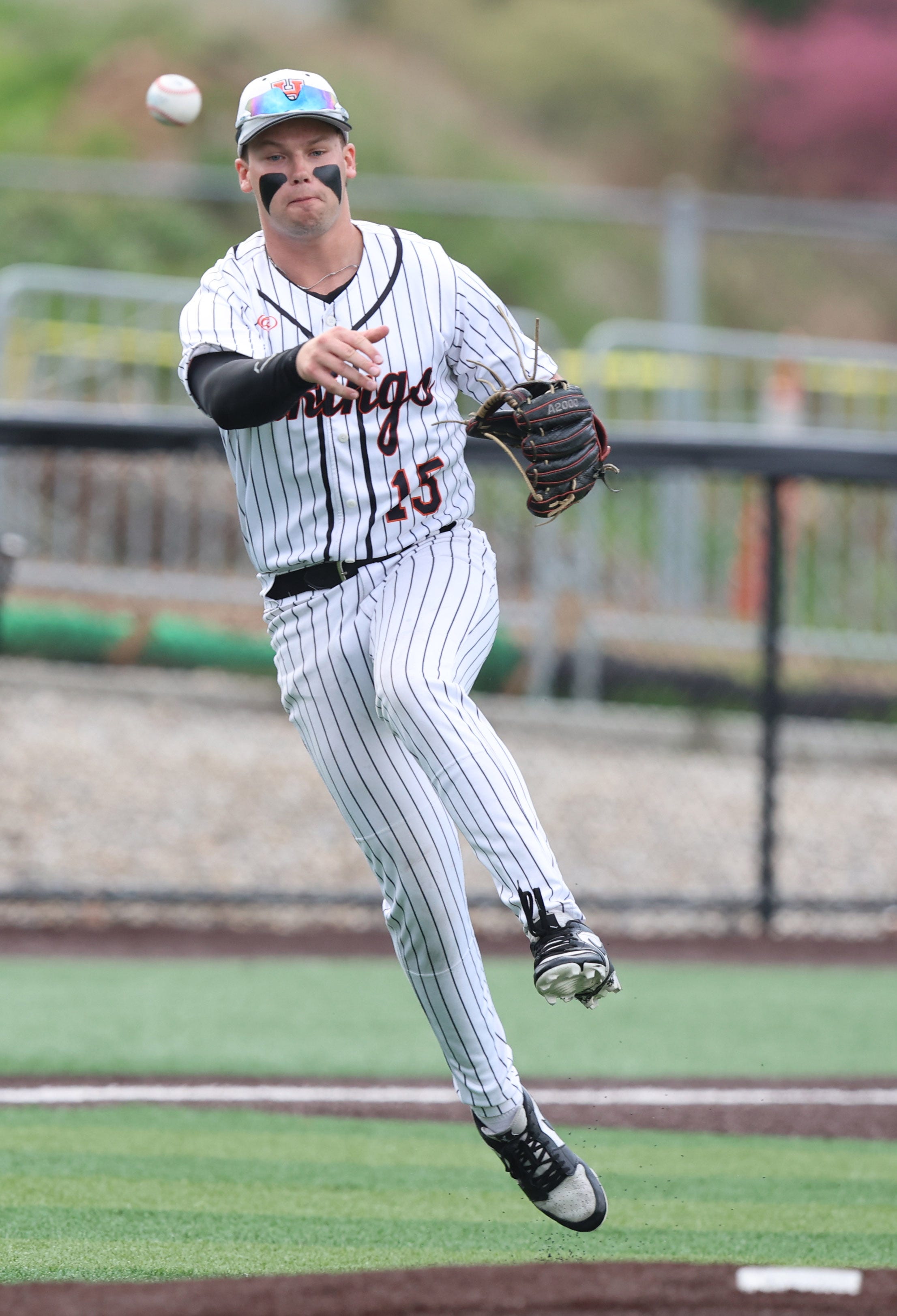 Hoover vs Walsh Jesuit, Ohio high school baseball playoff score, recap