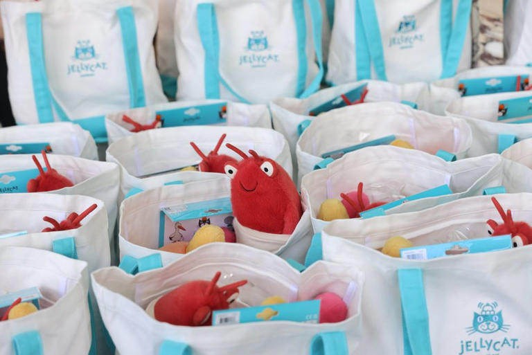 King Charles to launch afternoon tea-style teddy set inspired by ...