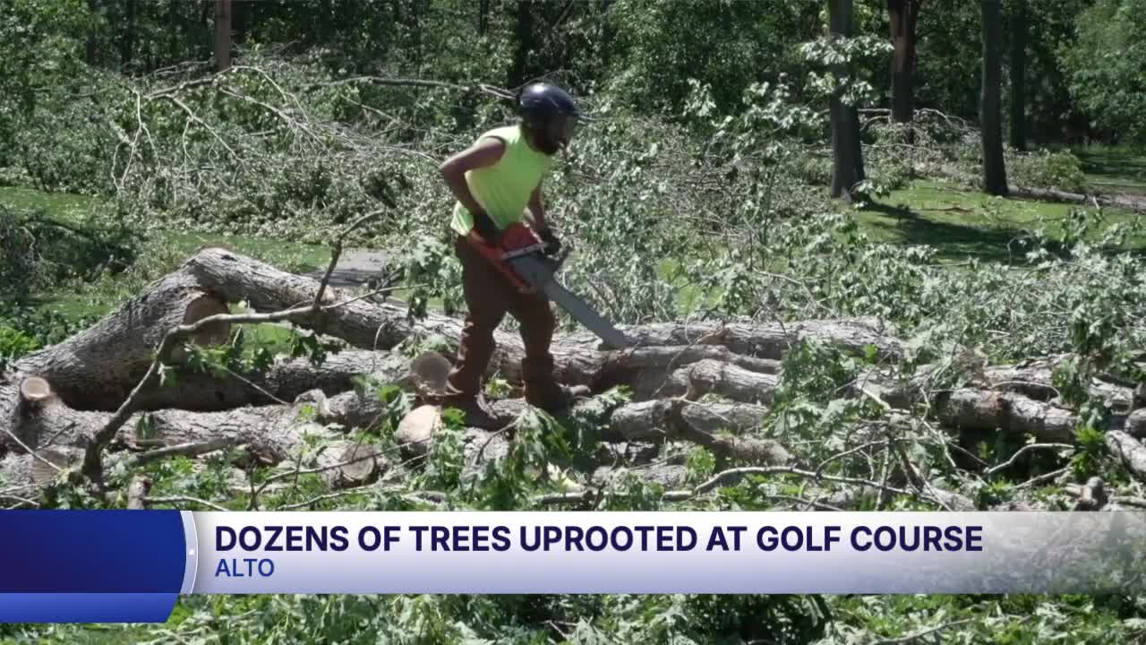 Fairways buried in fallen trees after powerful storm hits Alto golf course
