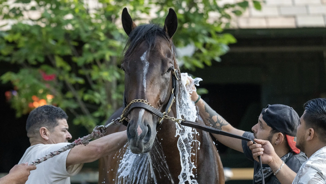 14 legendary horses from history, myth, and culture