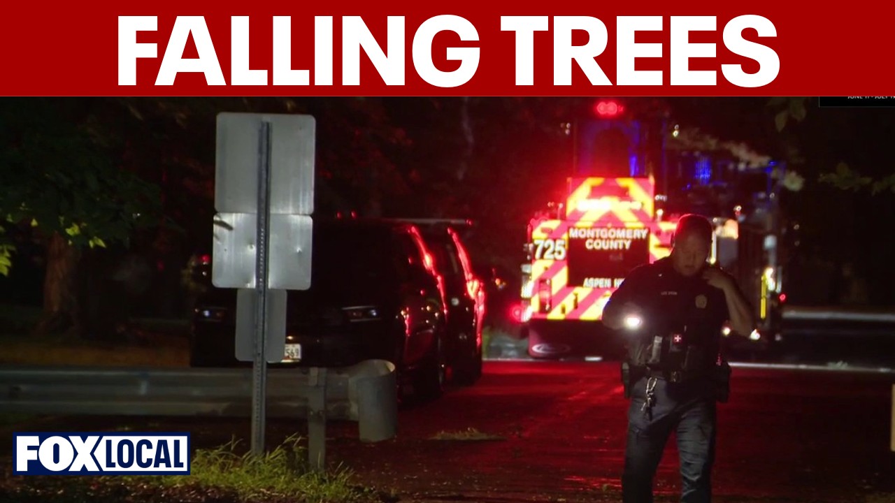 2 women killed by falling trees during Maryland storms