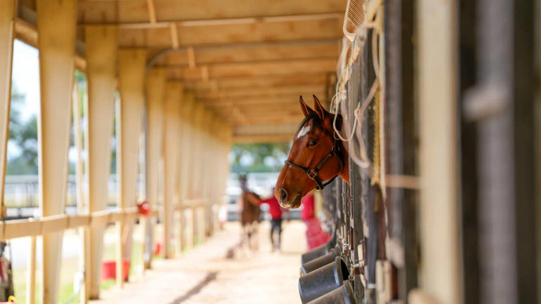 Two tie for fastest eighth during day 4 of OBS June under-tack show