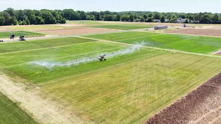Most World Cup stadiums have Rutgers turfgrass, which is tested for ...
