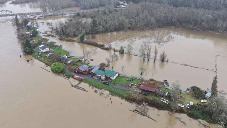 Decision on Pe Ell dam, levees postponed until further notice