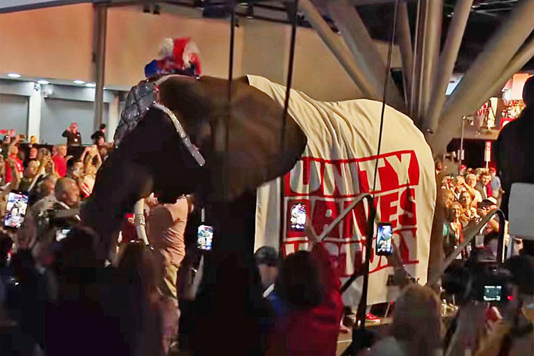 Texas GOP brings a live elephant to its convention. Then it starts peeing