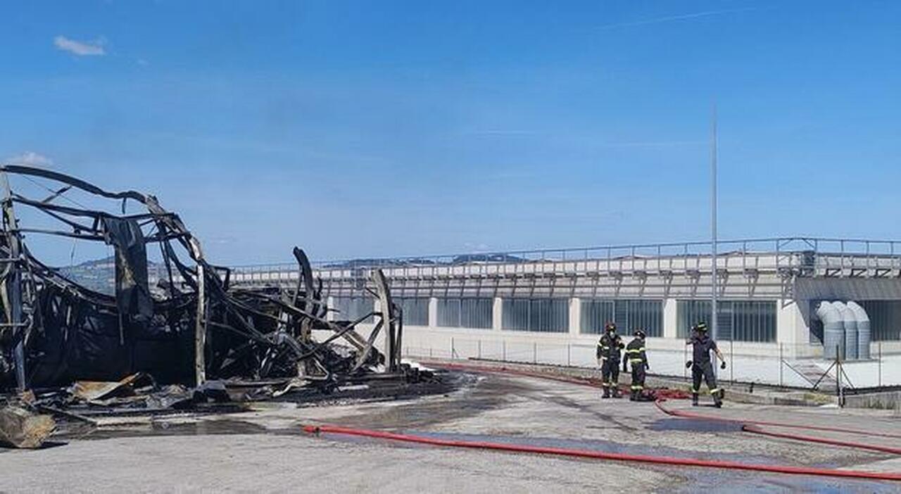 La Giba Stampi prova a rialzarsi, Girolomini davanti all'azienda ...