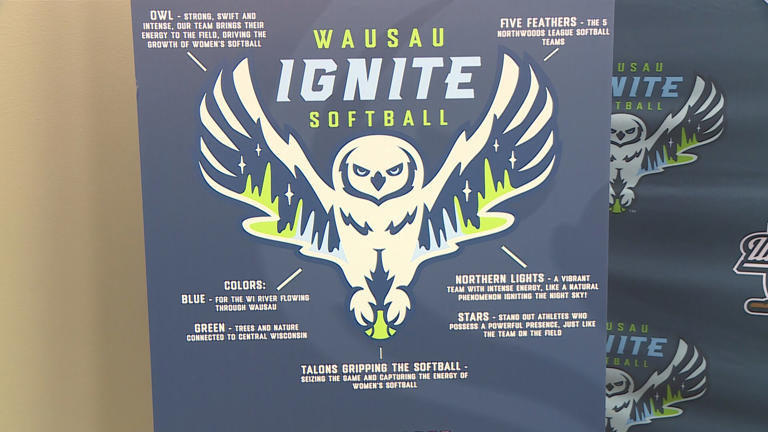 Top 4 announced in Wausau Ignite owl mascot naming contest
