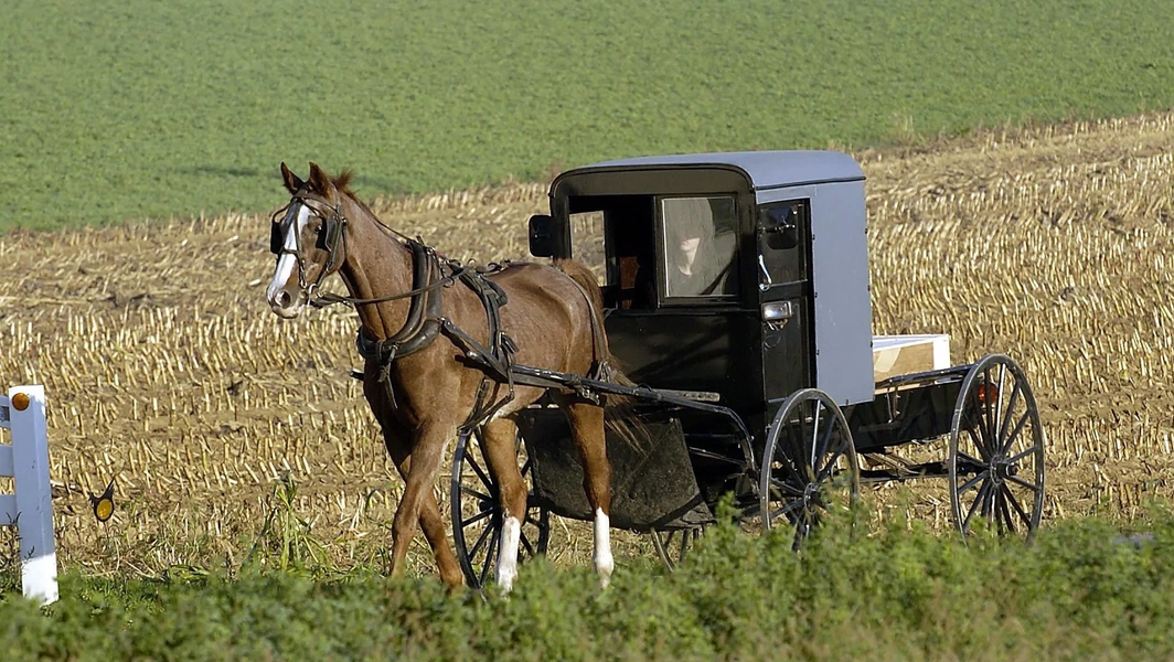 14 unique Amish traditions and customs