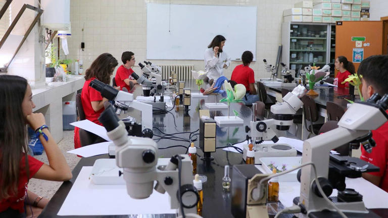 Talleres de robótica, neurociencia e IA: la ULE celebra en julio su ...