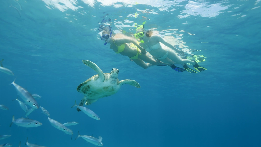 8 hidden Caribbean beaches for seclusion and natural beauty