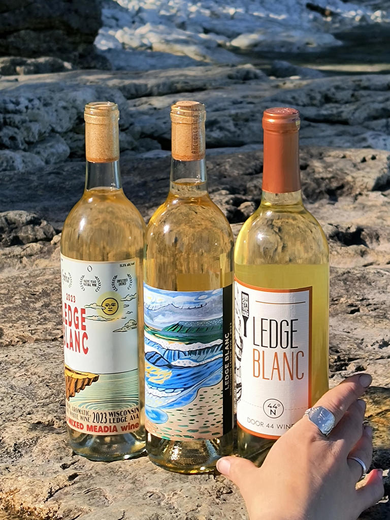 Wine tasting event offers samples of wine style unique to NE Wisconsin