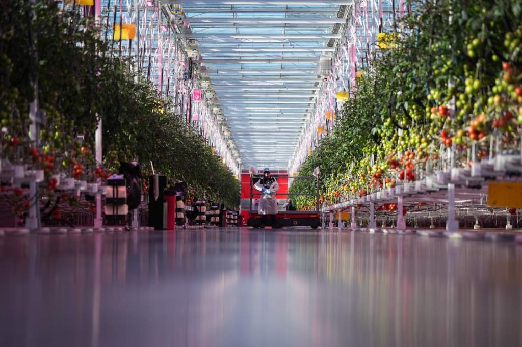 Why ramping up Canada’s indoor farming capacity may prove difficult
