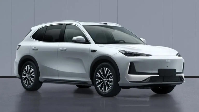Geely EX5 recibe manillas nuevas para evitar problemas en accidentes ...