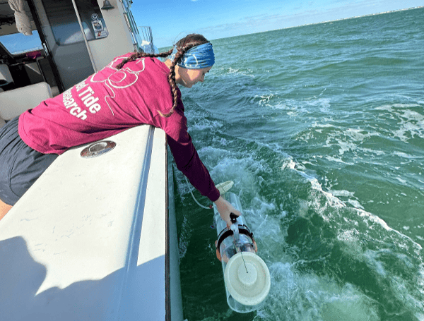 Clear skies and clean water: Red tide vanishes from most Florida coasts