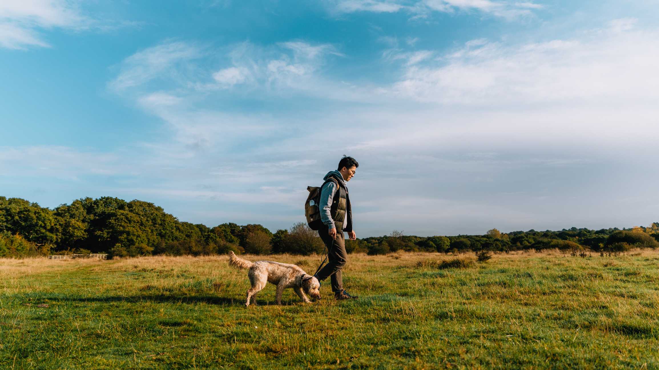 With scorching heat ahead, how can you keep you furry friends safe?