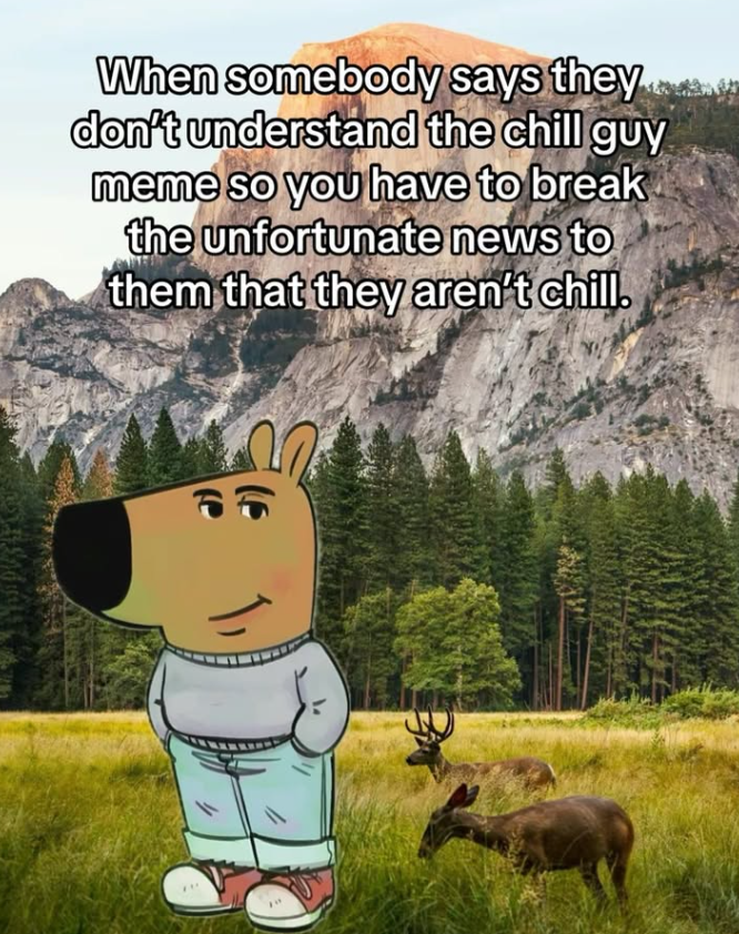 21 chill guy memes for unbothered people choosing peace and good vibes ...