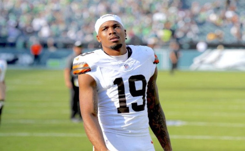 NFL Dynasty Warning: Cedric Tillmans Future With the Browns Is Looking ...