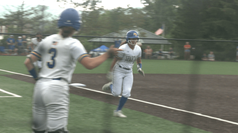 Maine-Endwell softball falls in state semifinal to (2) Averill Park
