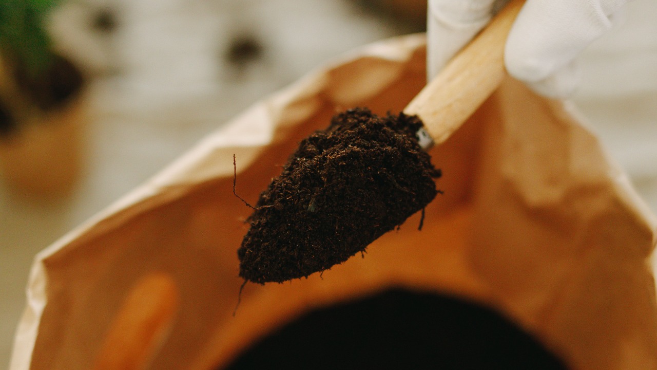 A teaspoon of soil holds more living microbes than there are people on ...