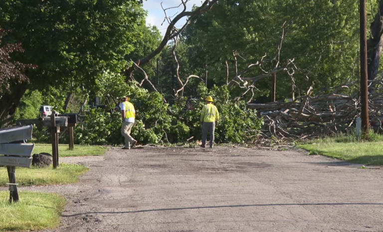 Thursday storms bring down trees across Mid-Michigan, leaving many ...