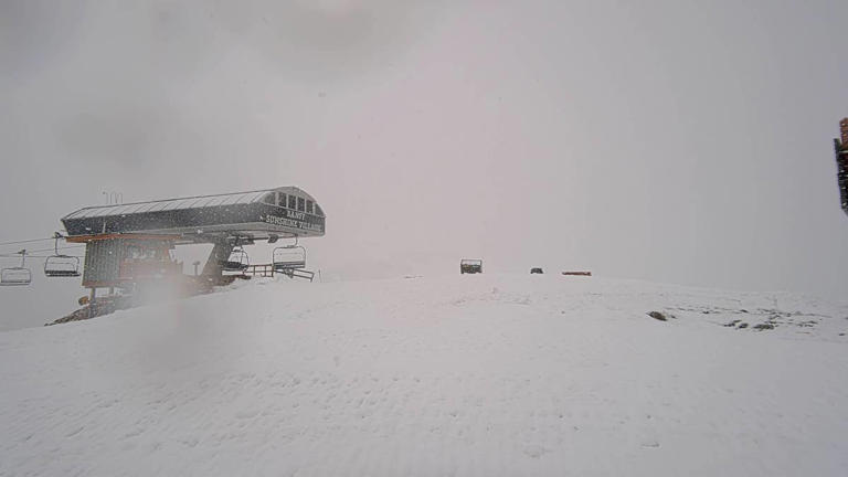 Another lift added for summer skiing at Banff Sunshine Village