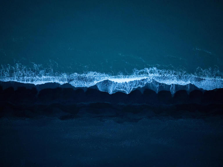 The glowing seas of the world, and the science behind the magic