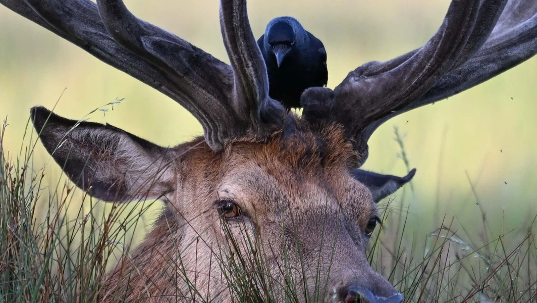 11 stunning examples of visual harmony and coincidence