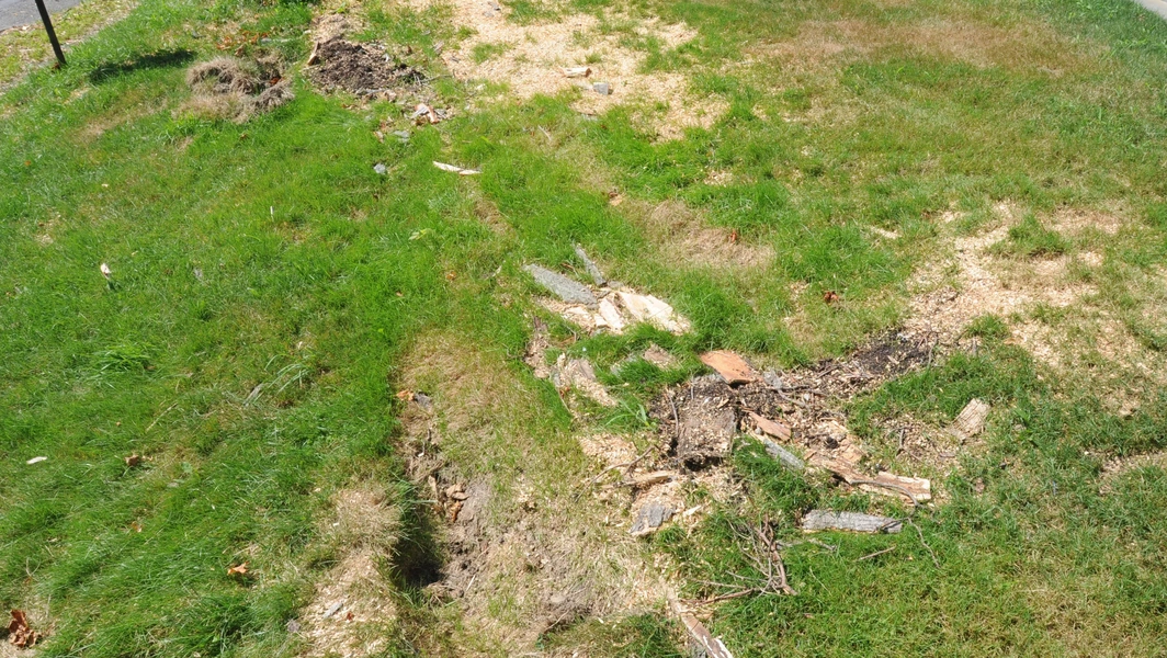 19 common backyard design mistakes to avoid