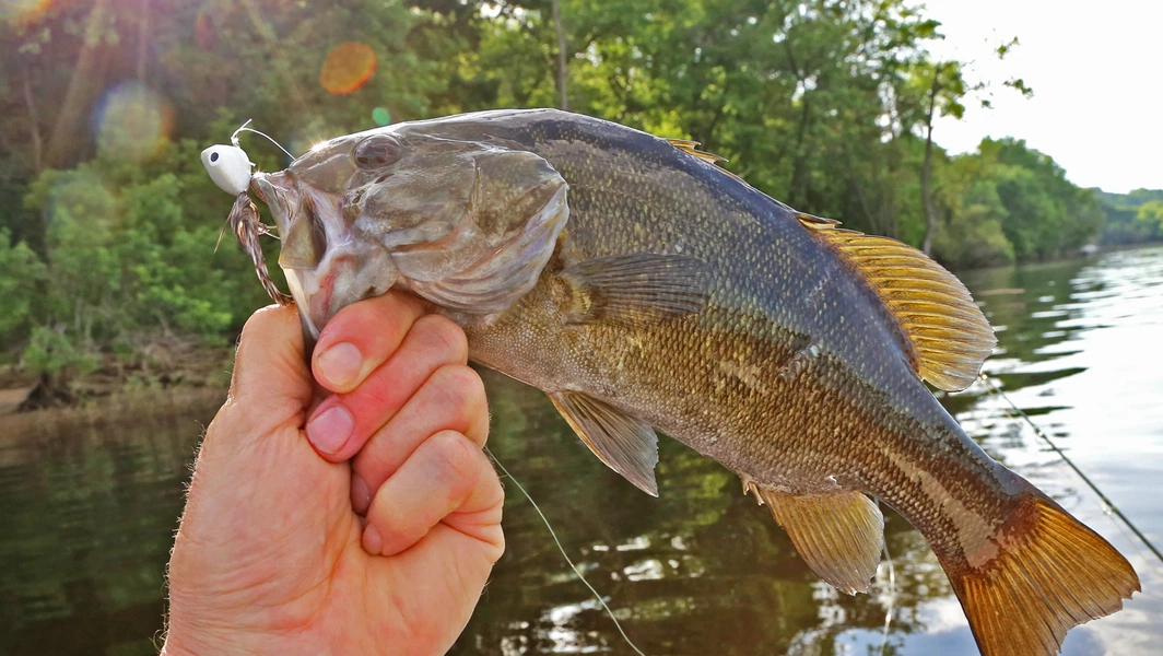 11 top smallmouth bass fishing destinations