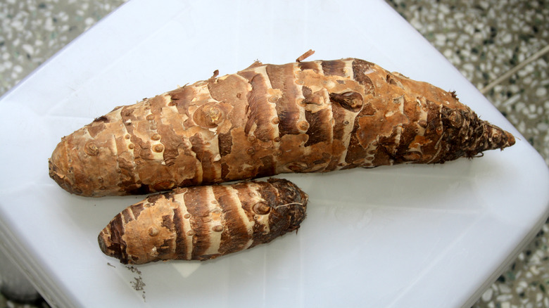 What is taro? How to tell the big from the small version and when to ...