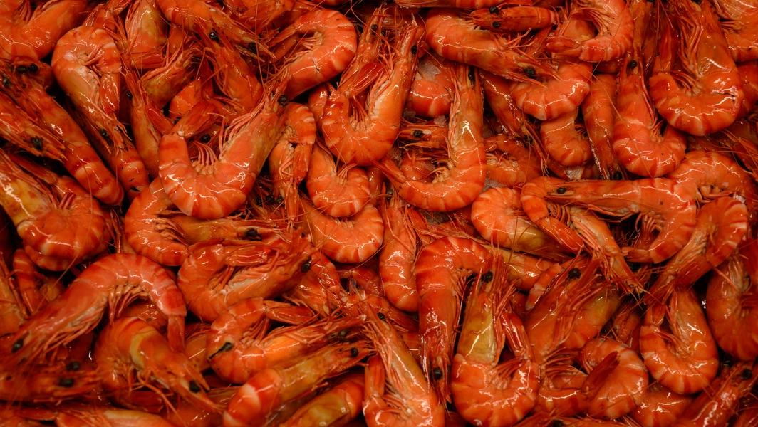 New shrimp recipe collections bring fresh flavors for summer